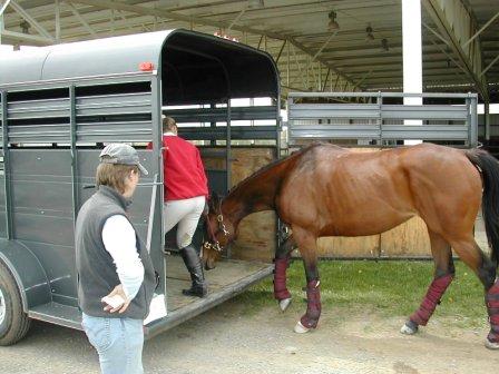 Safe Loading Practices for Horses | Extension Horses