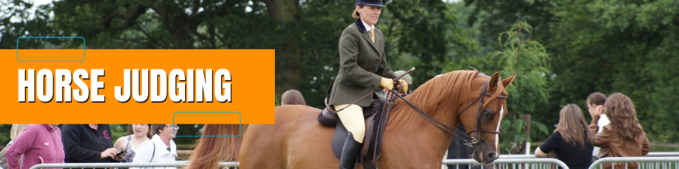 Horse Judging | Extension Horses