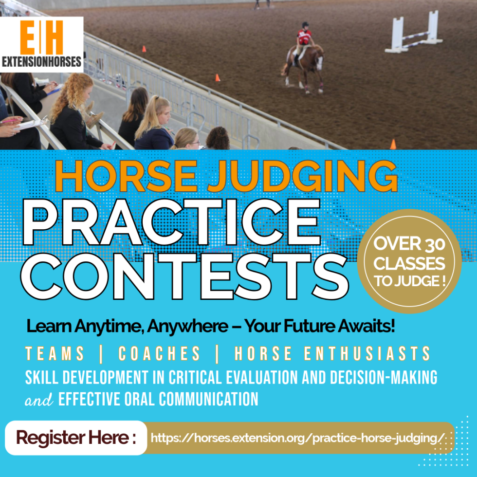Extension Horses